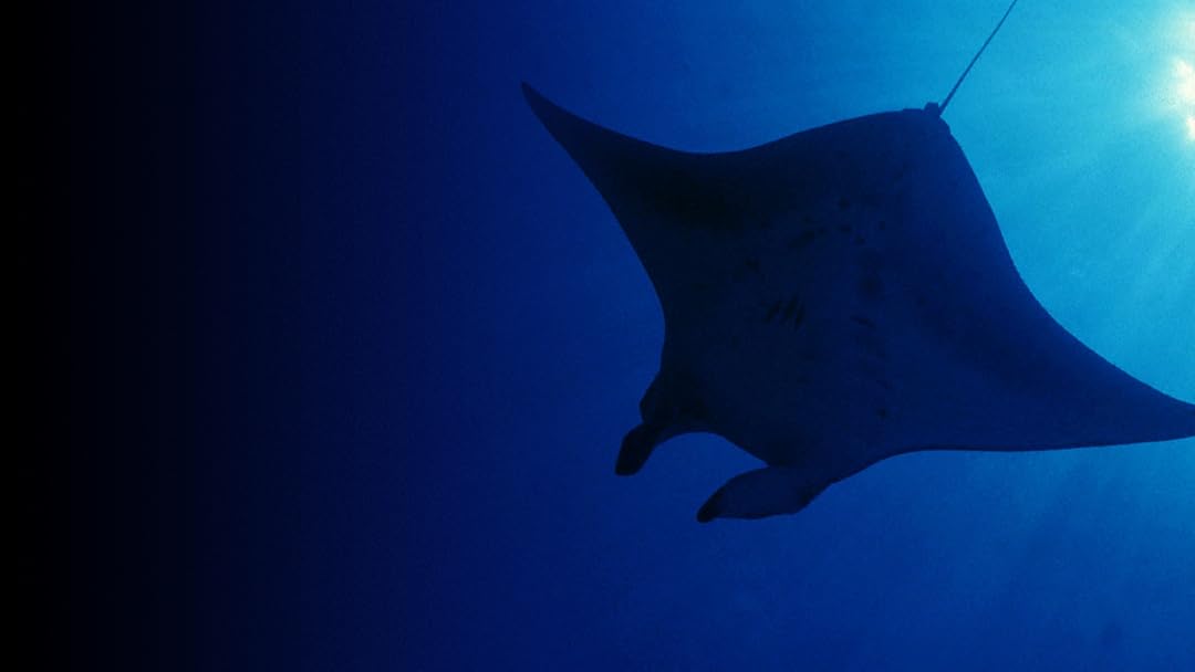 Watch Planet Earth: The Blue Planet, Season 1 | Prime Video