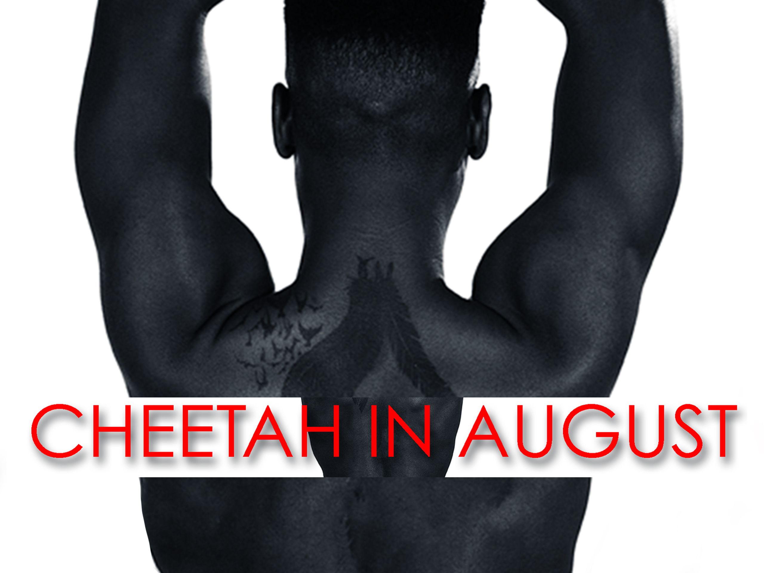 Prime Video: Cheetah in August Season 1