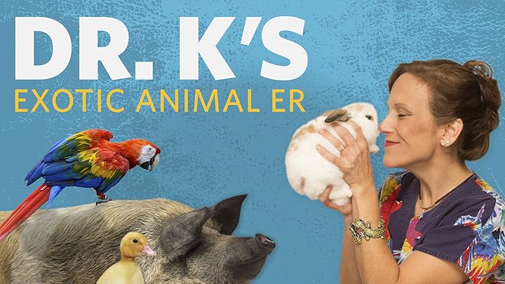 Prime Video: Dr. K's Exotic Animal ER Season 4