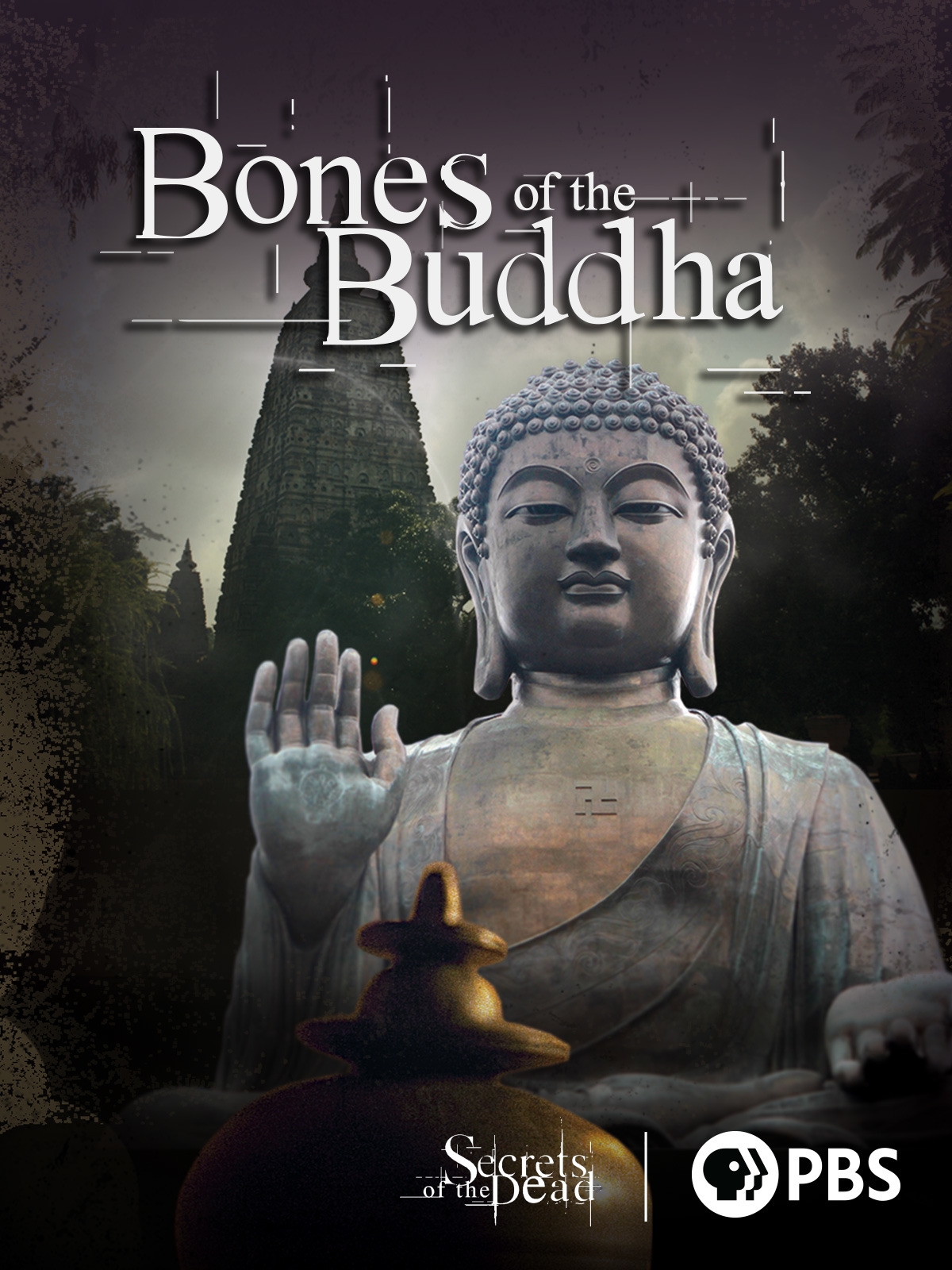 Prime Video: Bones of the Buddha