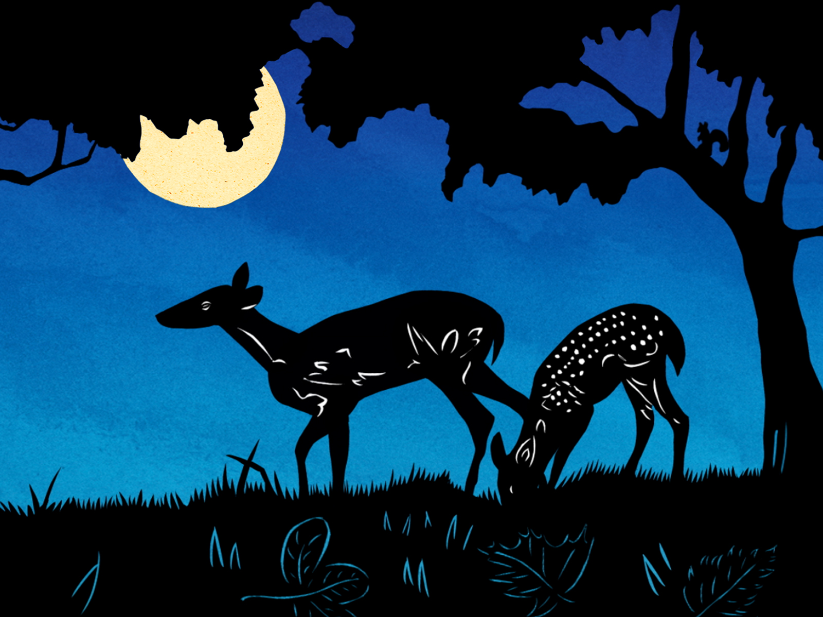 Prime Video: Vooks Storytime: Animated Kids Books