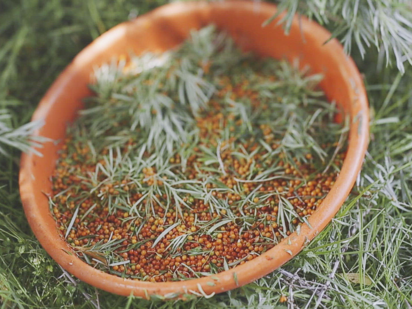 Prime Video: Raja Rasoi Aur Anya Kahaniyaan - Season 2