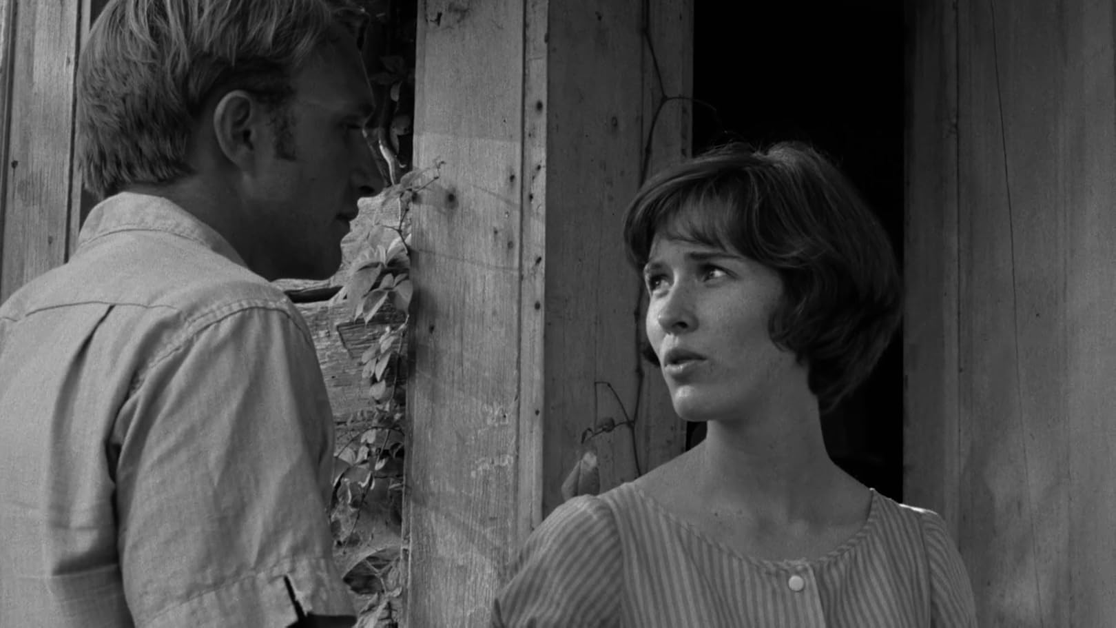 Watch Spring Night, Summer Night | Prime Video