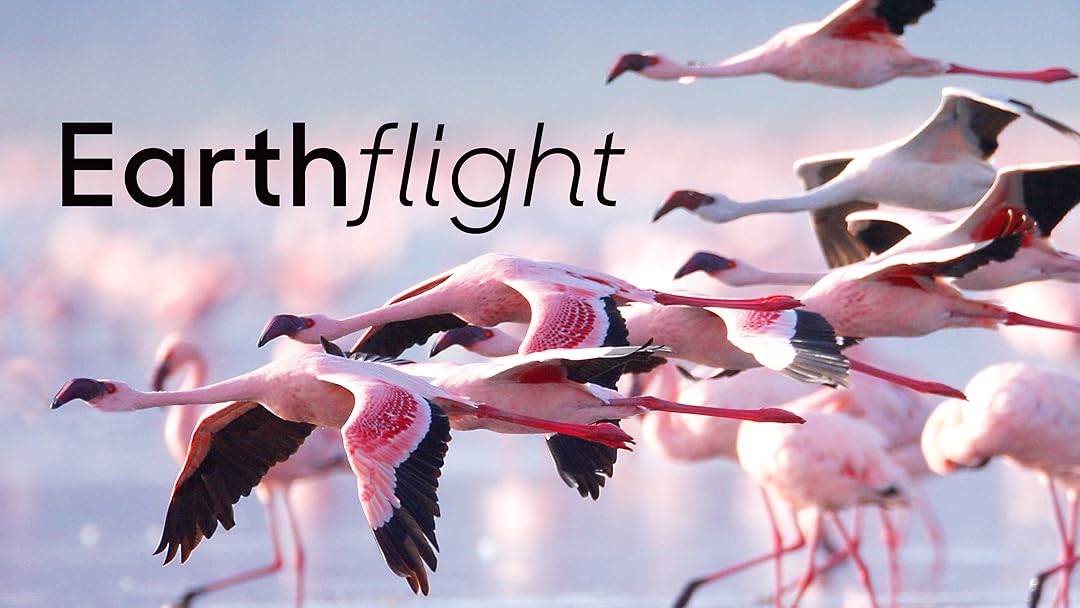 Prime Video: Earthflight - Season 1