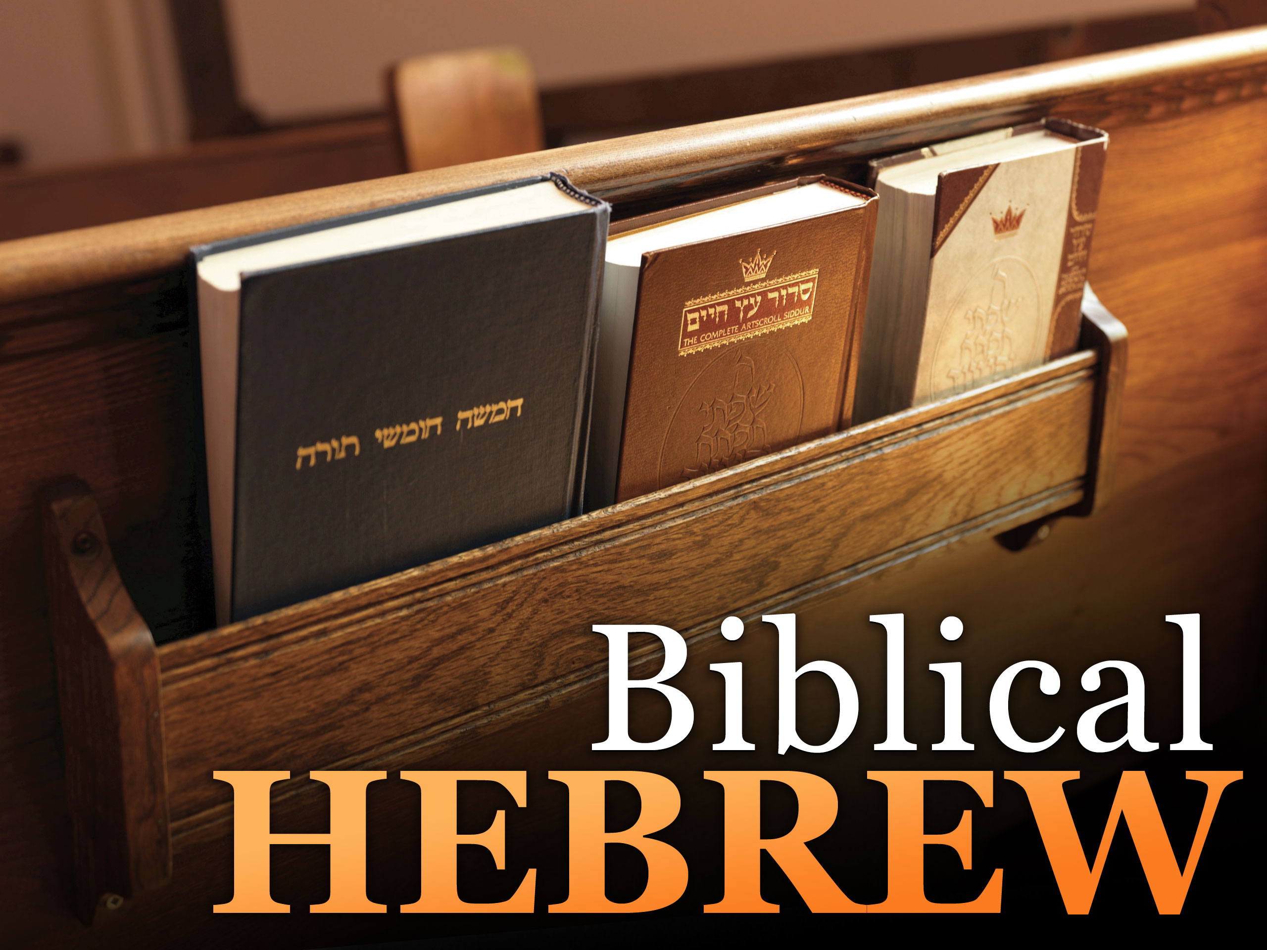 Prime Video: Biblical Hebrew: Learning a Sacred Language