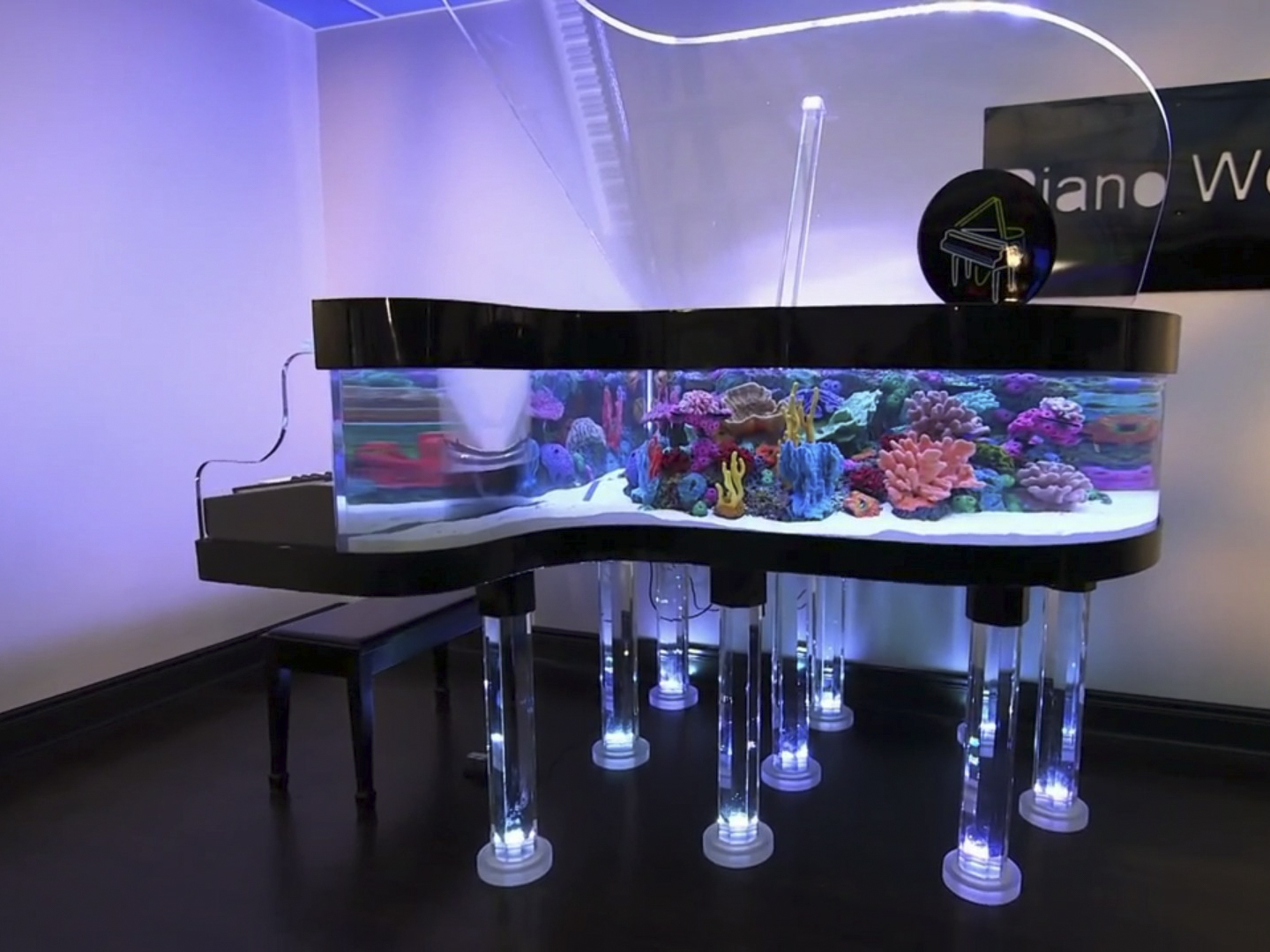 Prime Video: Tanked - Season 8