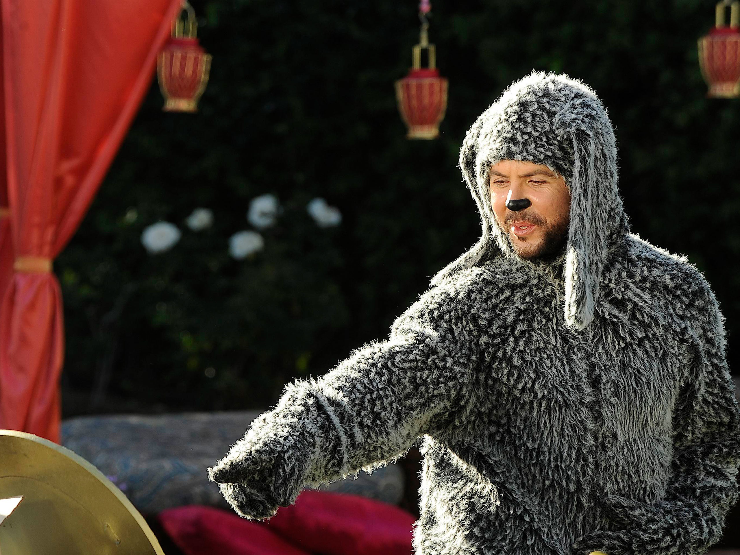 Prime Video: Wilfred