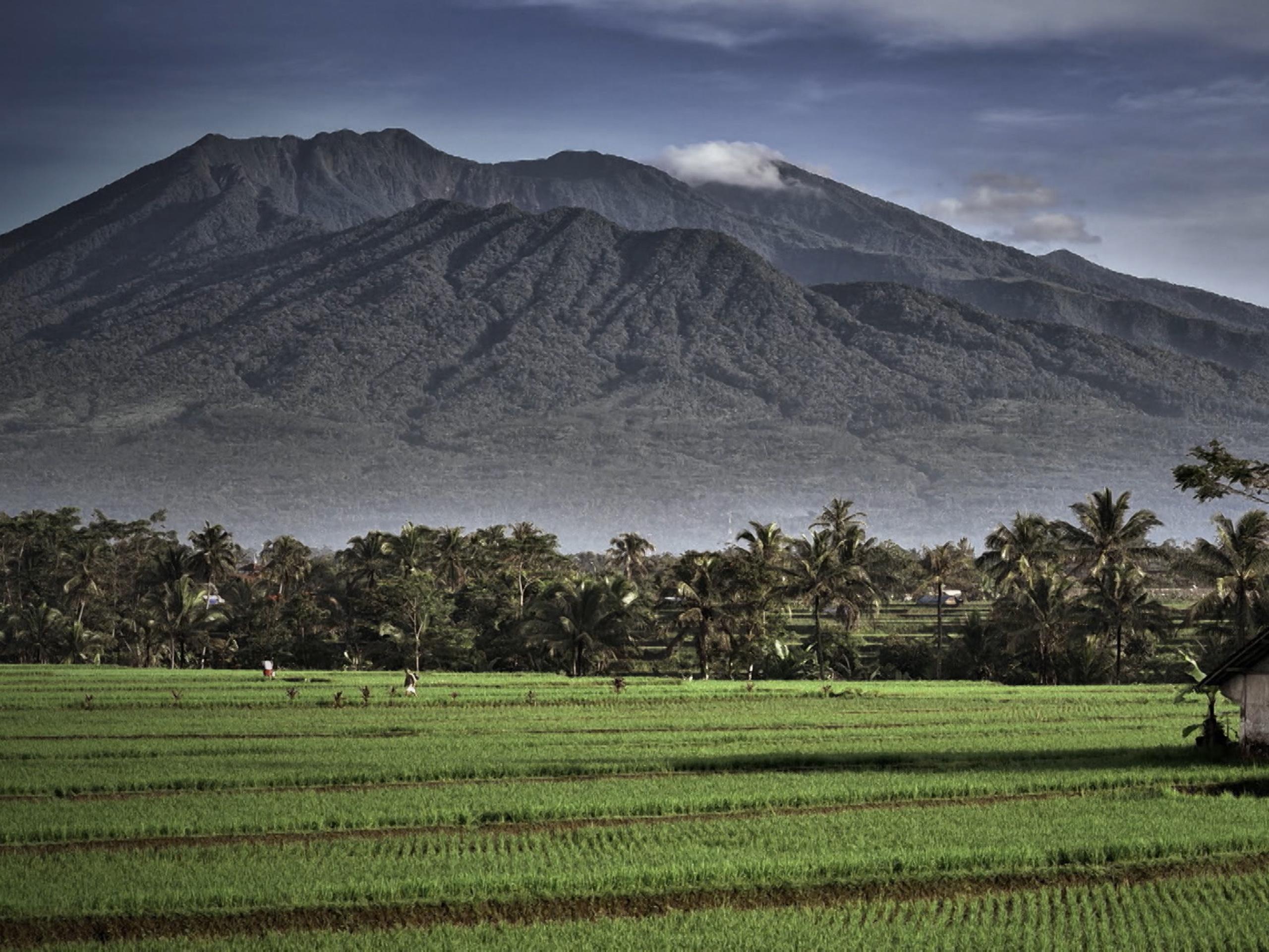 Prime Video: Yellowstone Supervolcano