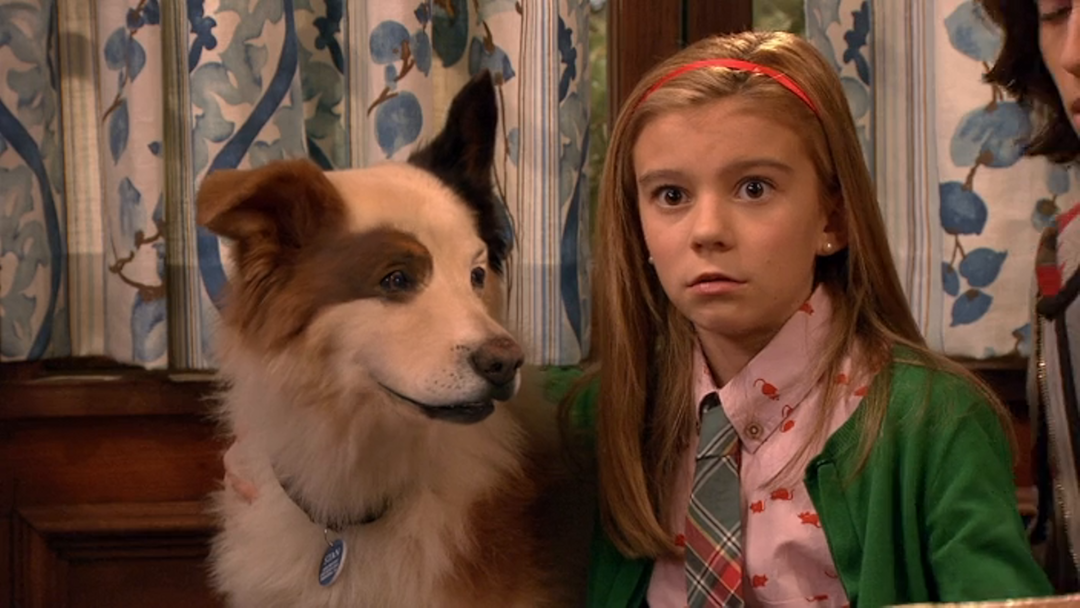 Prime Video: Dog With A Blog Volume 1