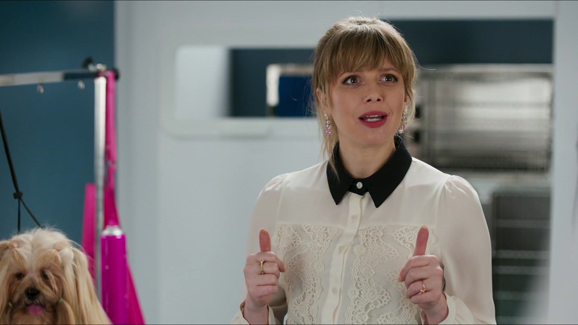 Watch Show Dogs | Prime Video