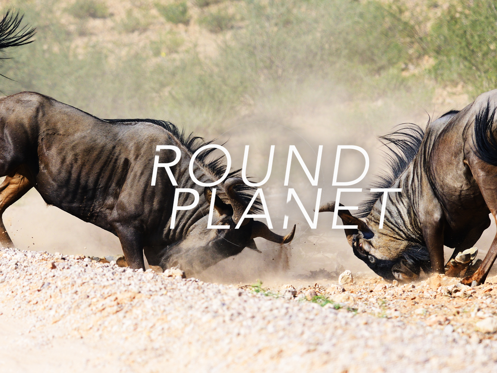 Prime Video: Round Planet - Season 1