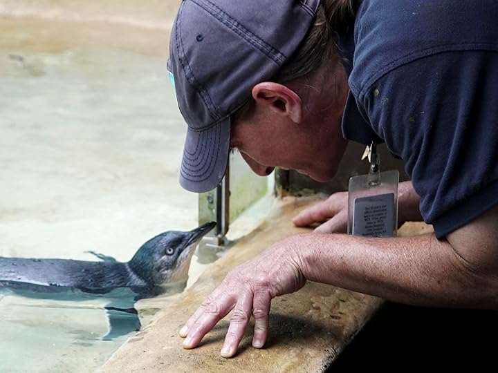 Watch The Zoo - Season 1 | Prime Video