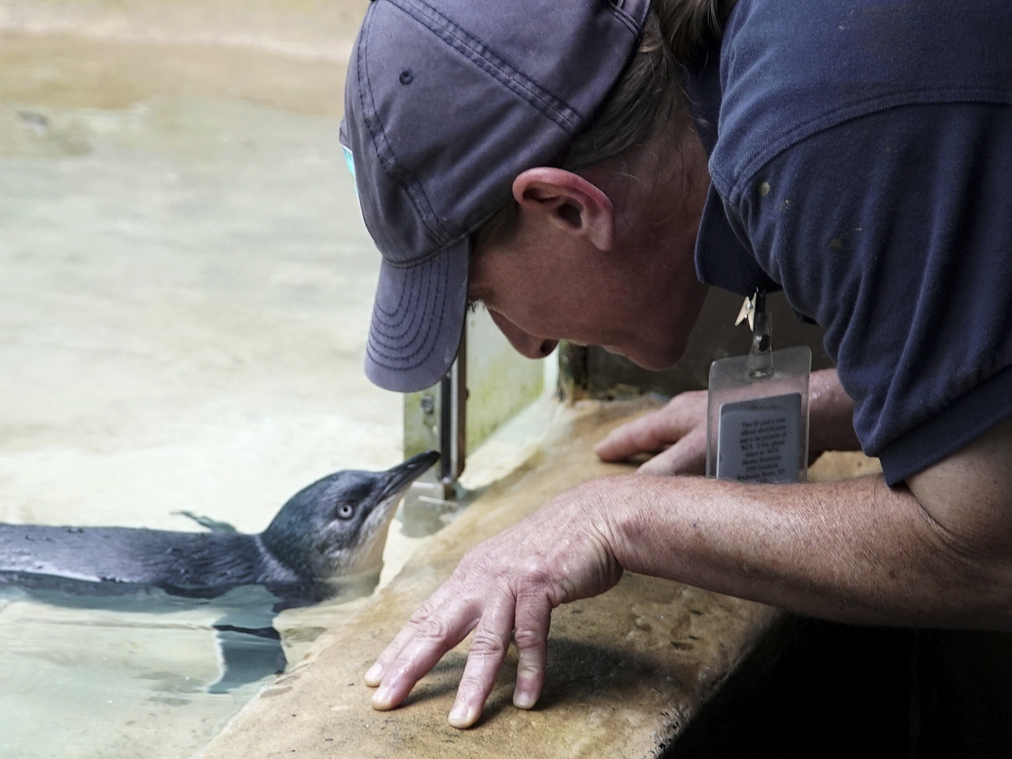 Prime Video: The Zoo - Season 1