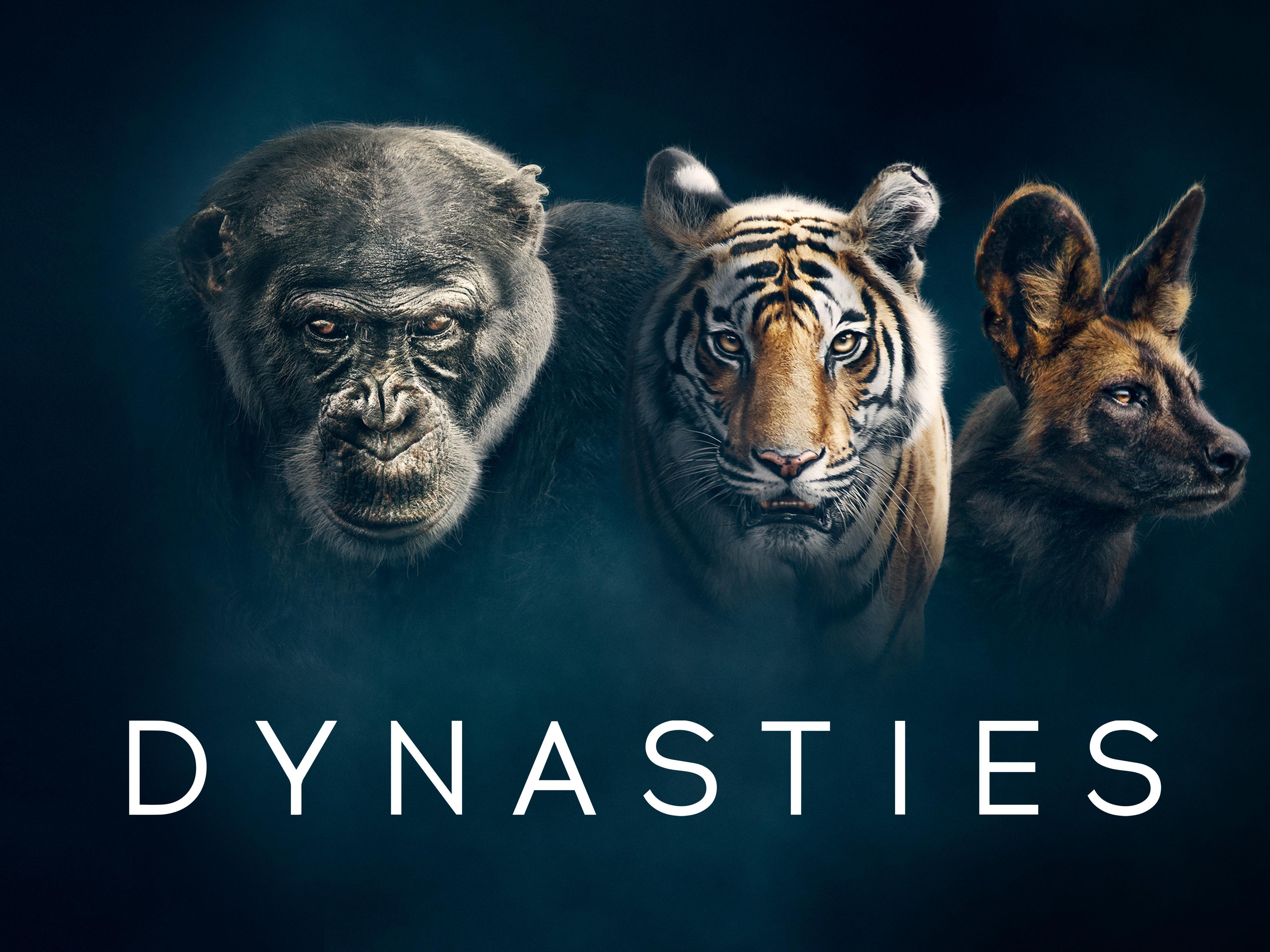 Prime Video: Dynasties - Season 1