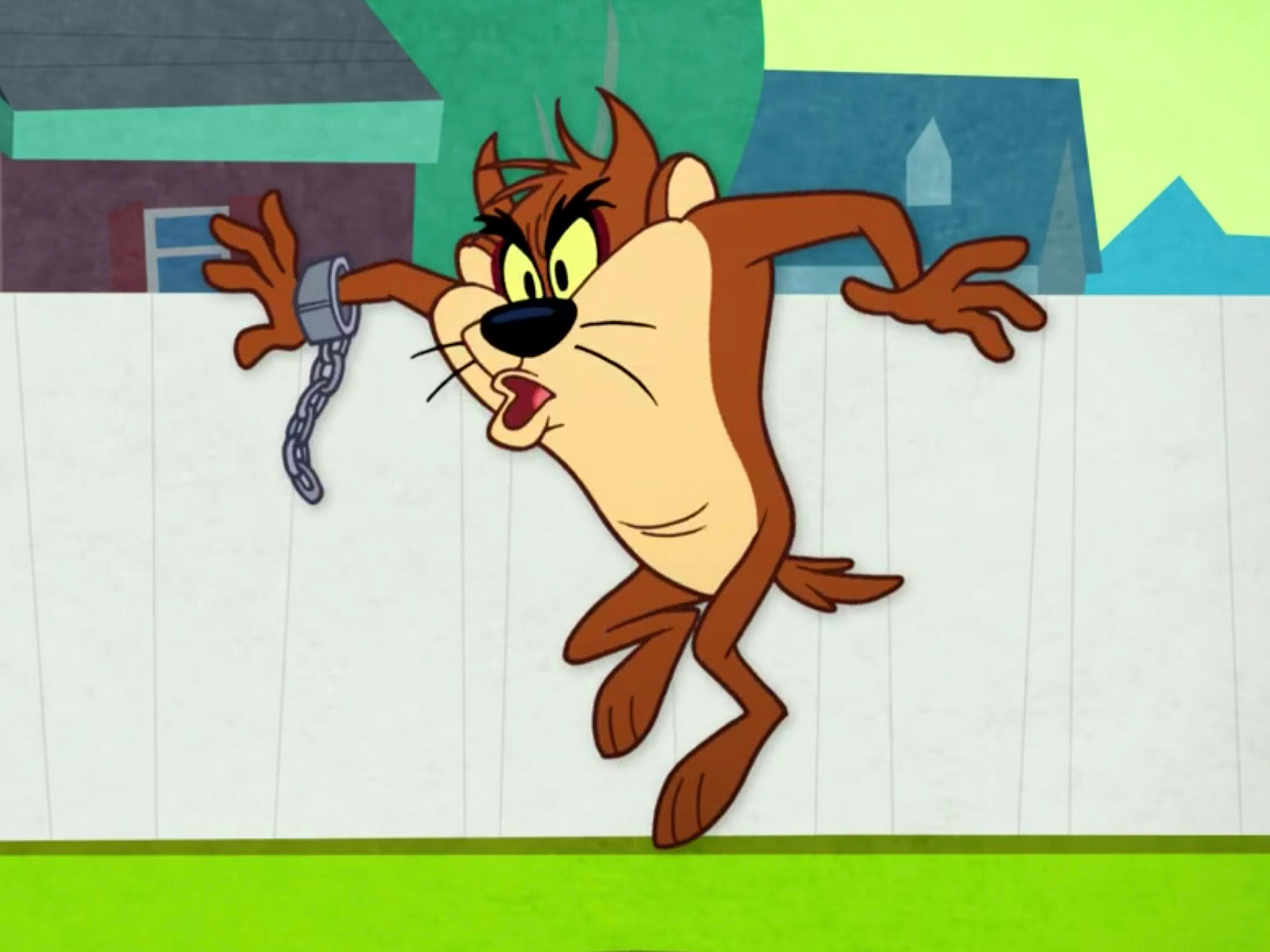 Taz Looney Tunes Show