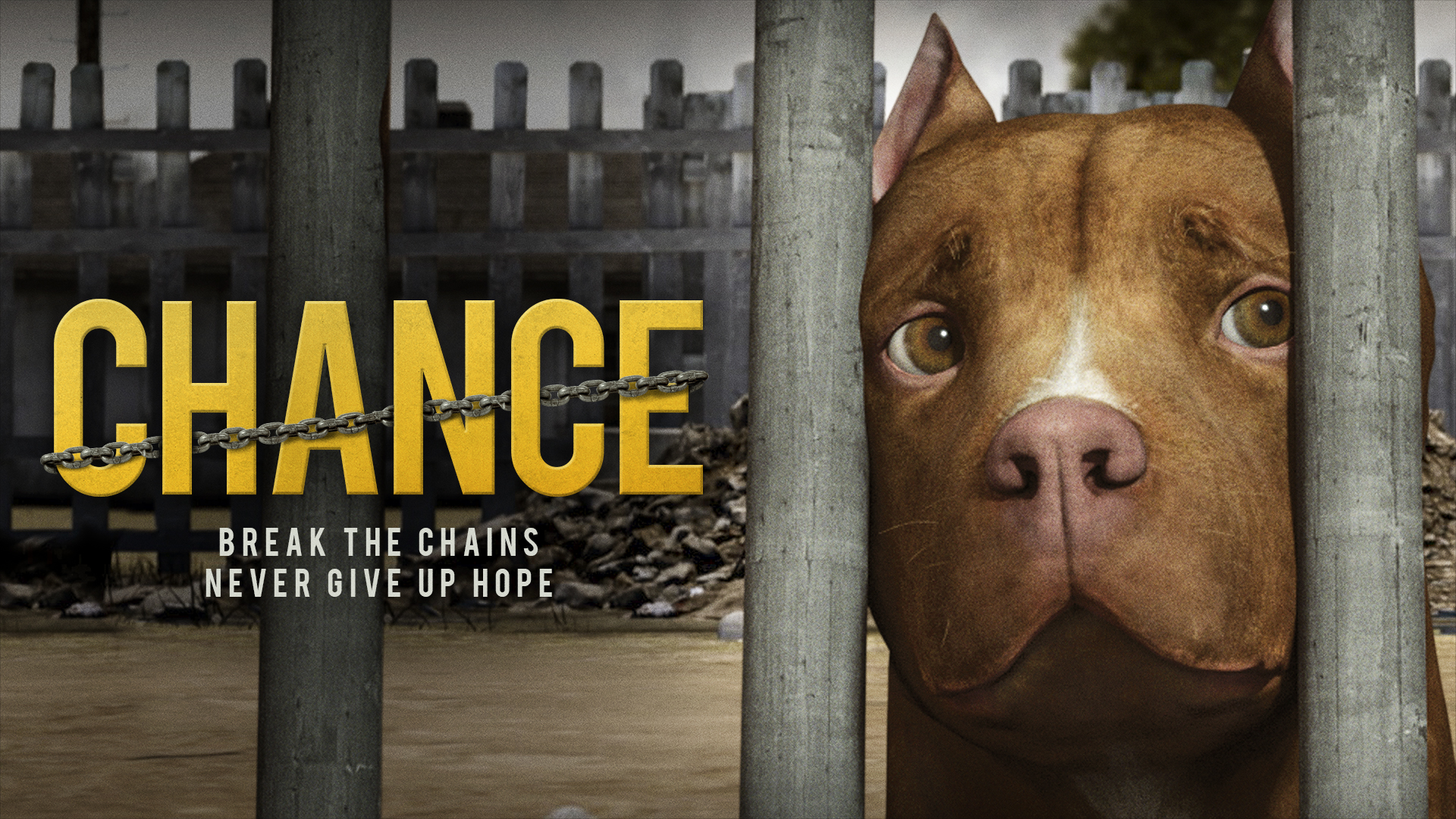 Prime Video: Chance