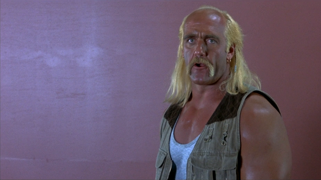 Prime Video: Suburban Commando