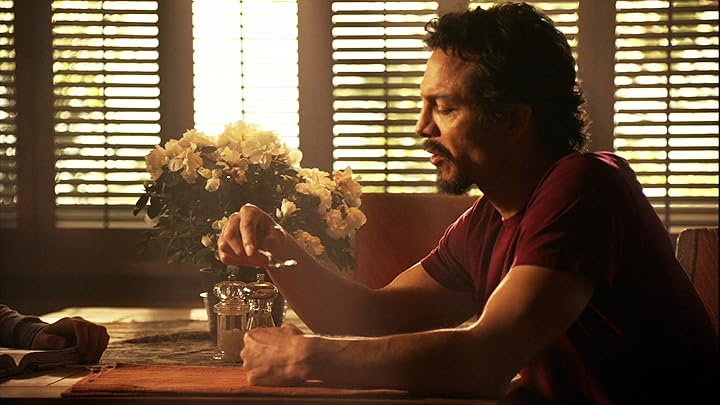 Amazon.com: The Cleaner Season 1 : Benjamin Bratt, Amy Price-Francis ...