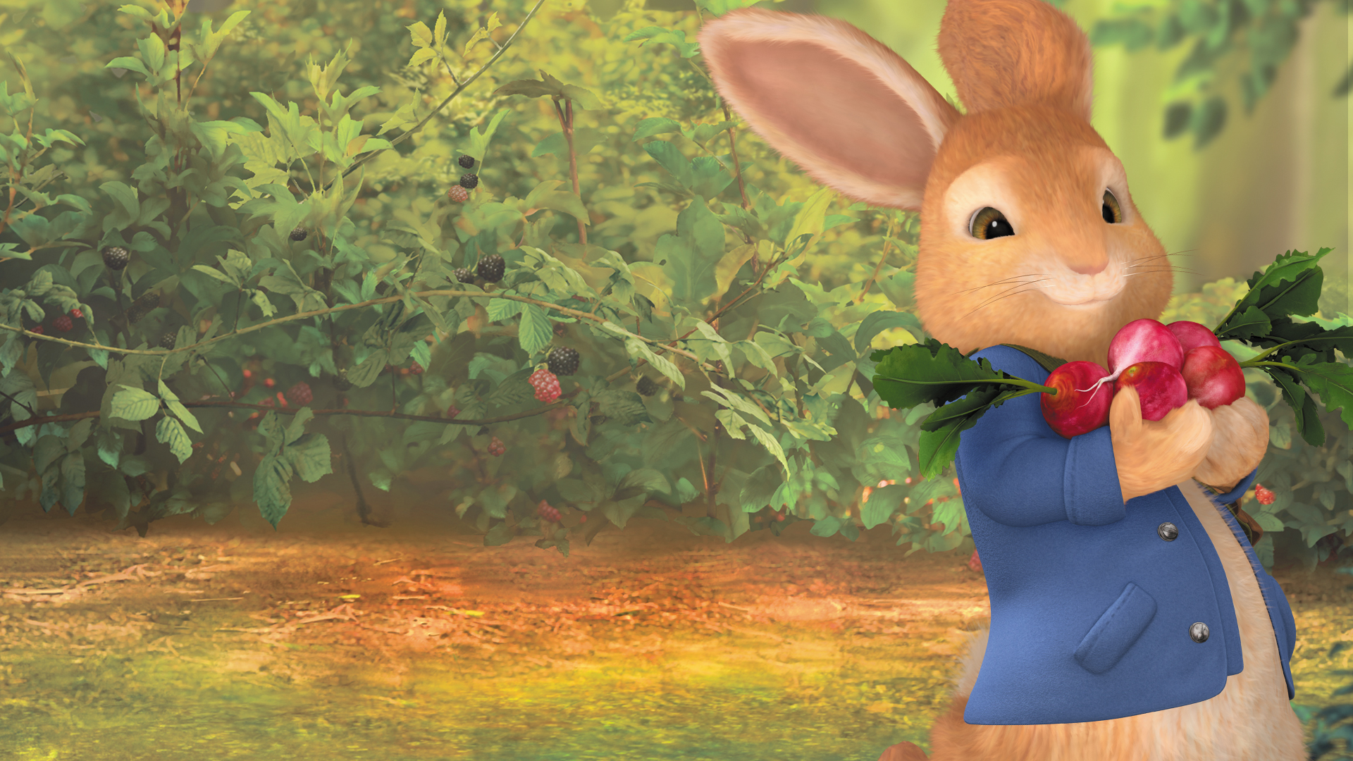 Watch Peter Rabbit Volume 4 | Prime Video