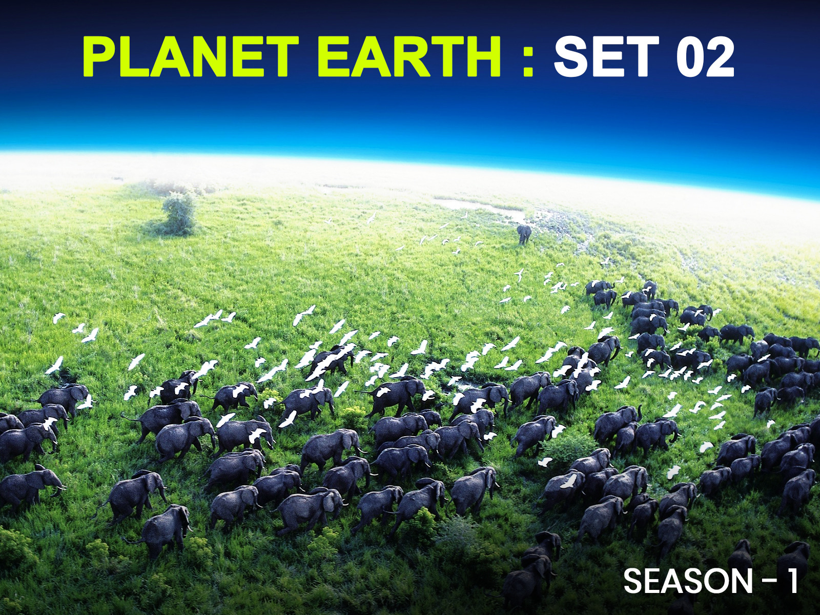 Prime Video: Planet Earth : Set 02