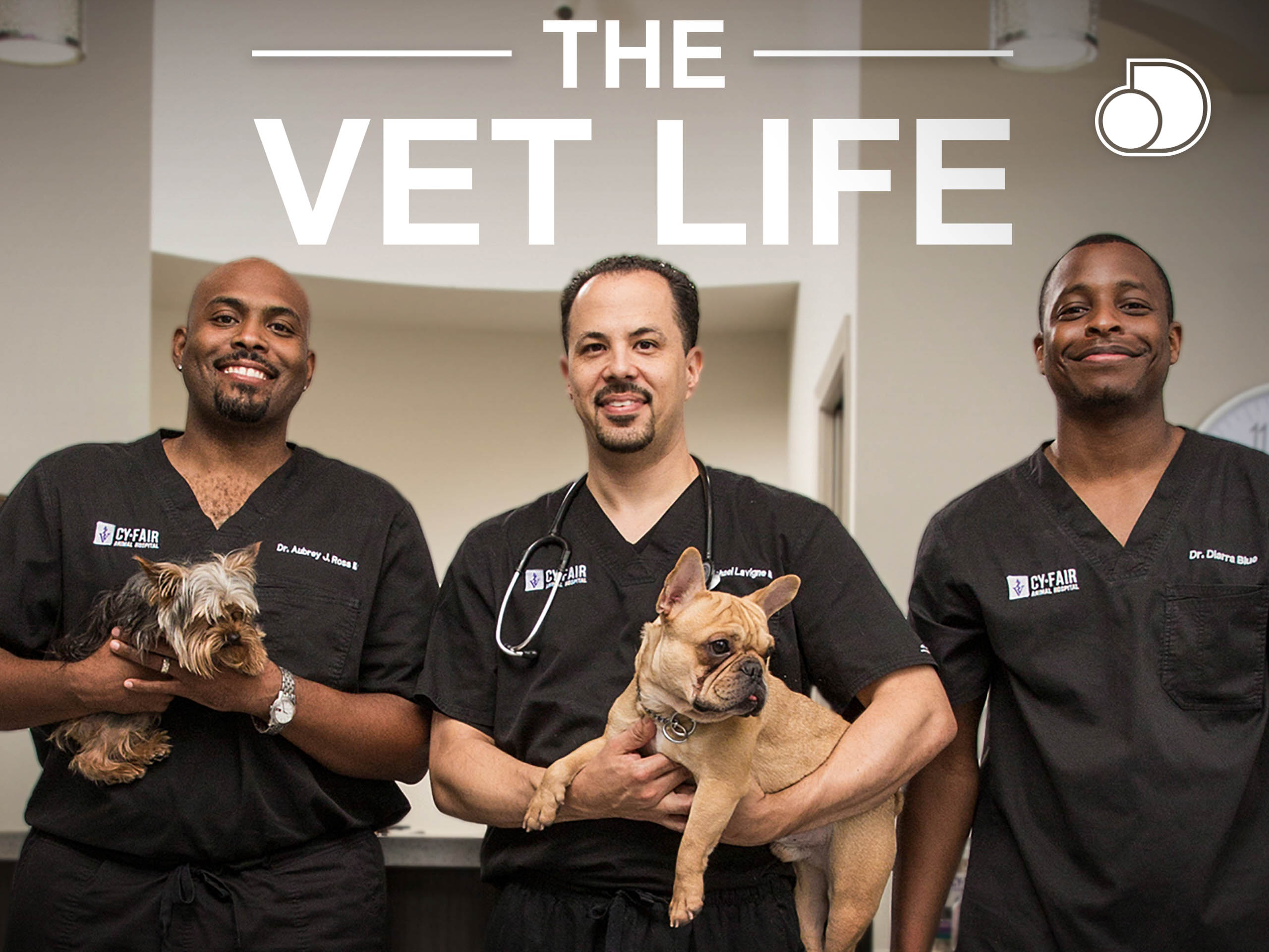 Prime Video: The Vet Life - Season 2