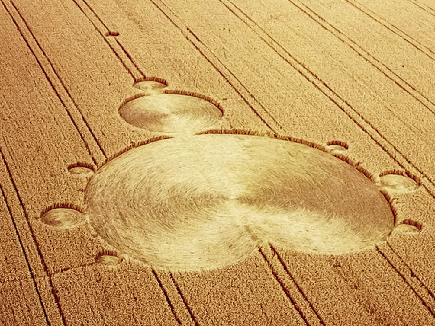 Prime Video: World's Most Unexplained - Season 1