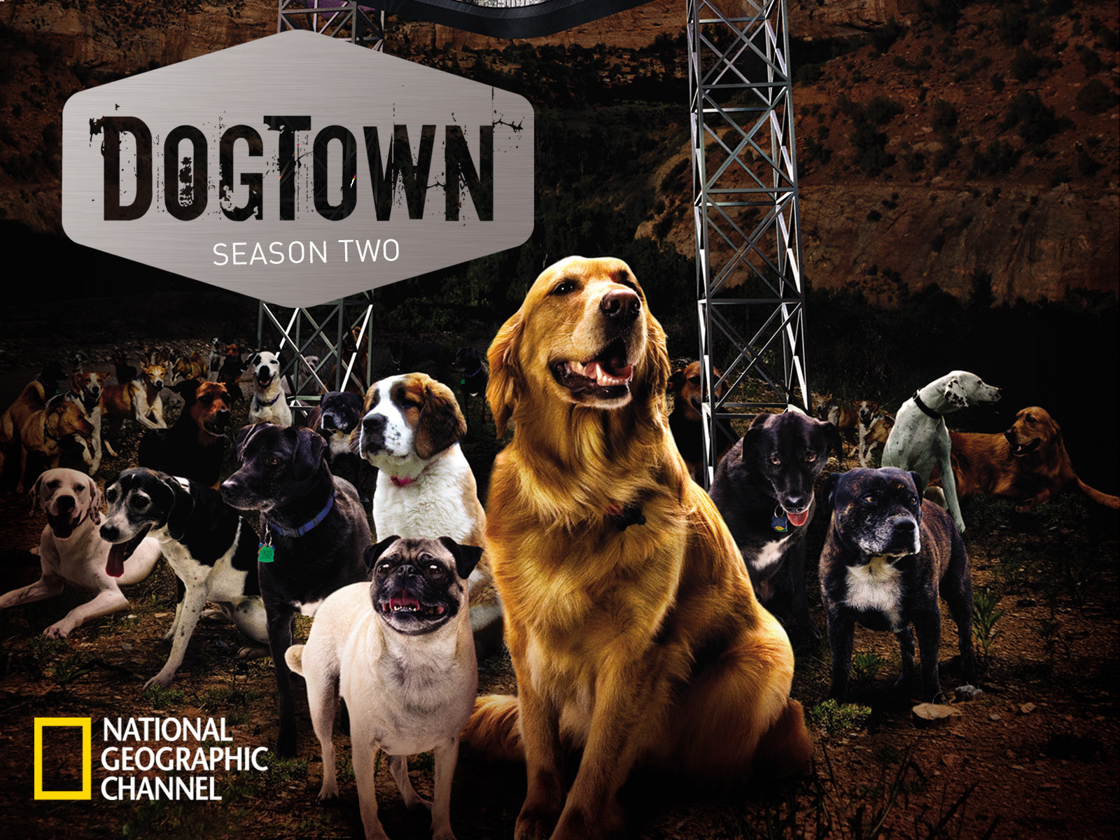 Prime Video: DogTown Season 2