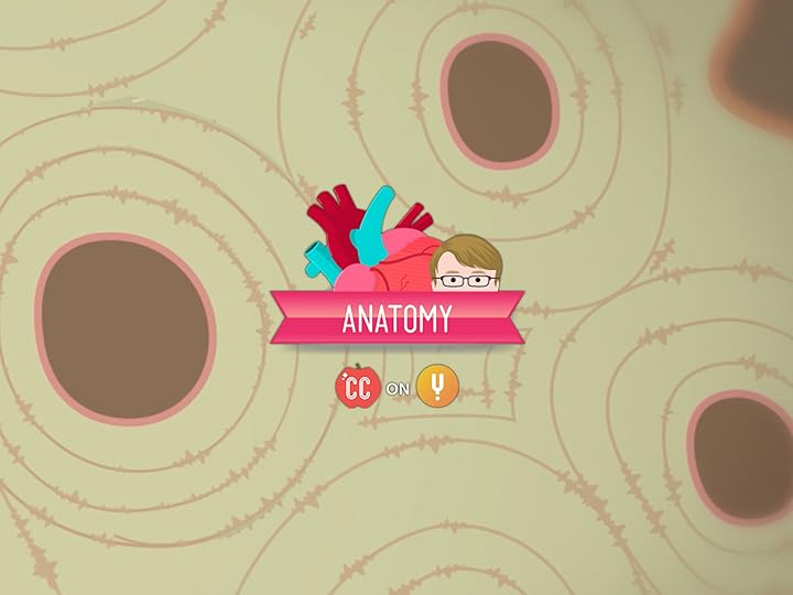 Prime Video: Crash Course: Anatomy & Physiology - Season 1