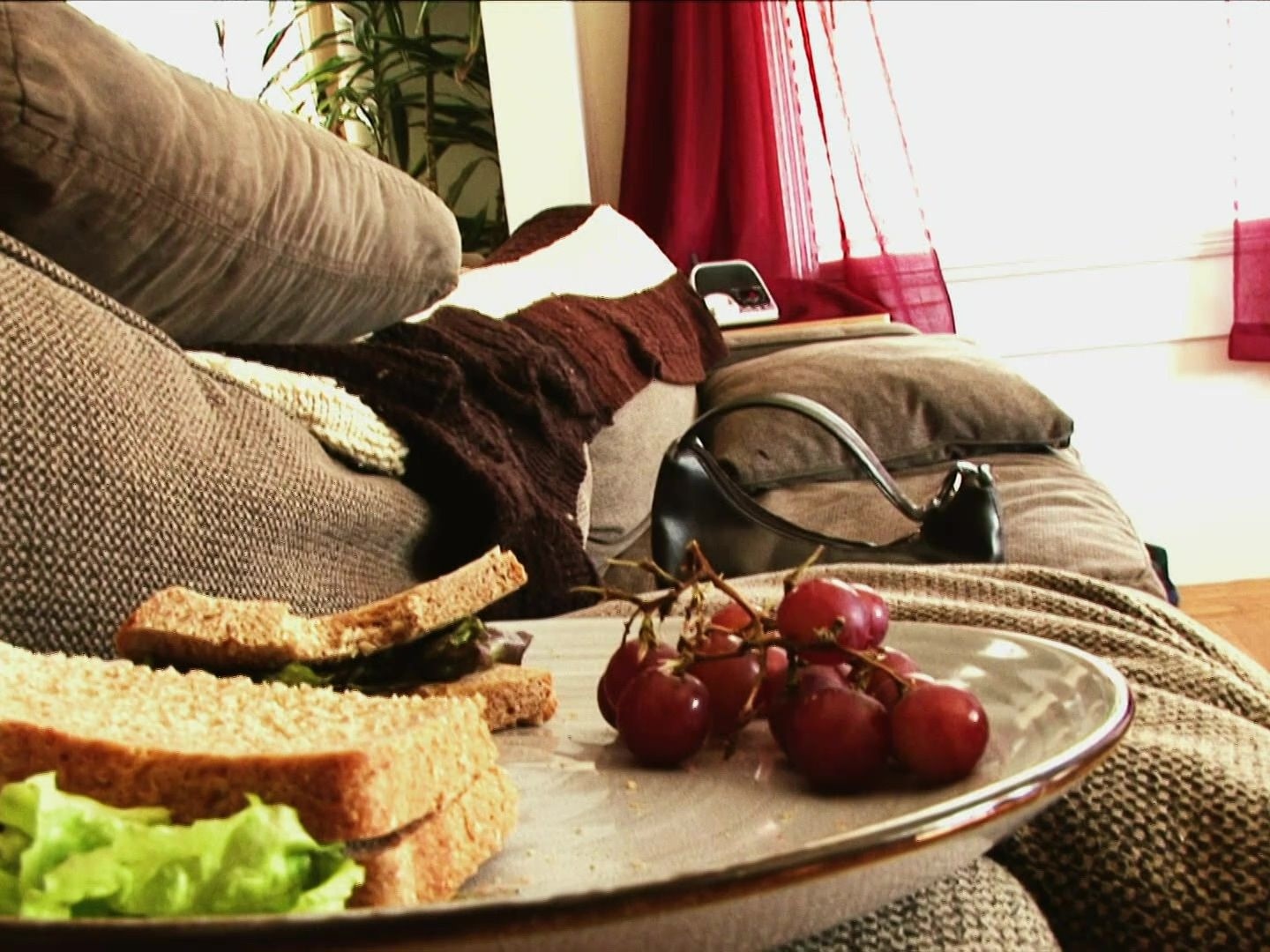 Prime Video: Solved: Extreme Forensics - Season 1