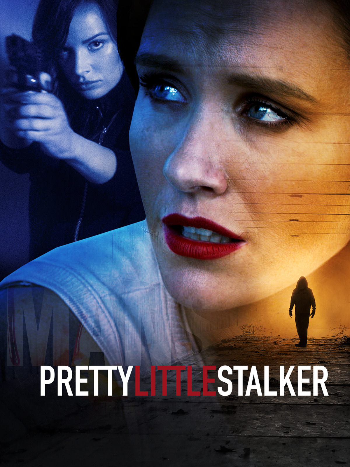 Prime Video: Pretty Little Stalker
