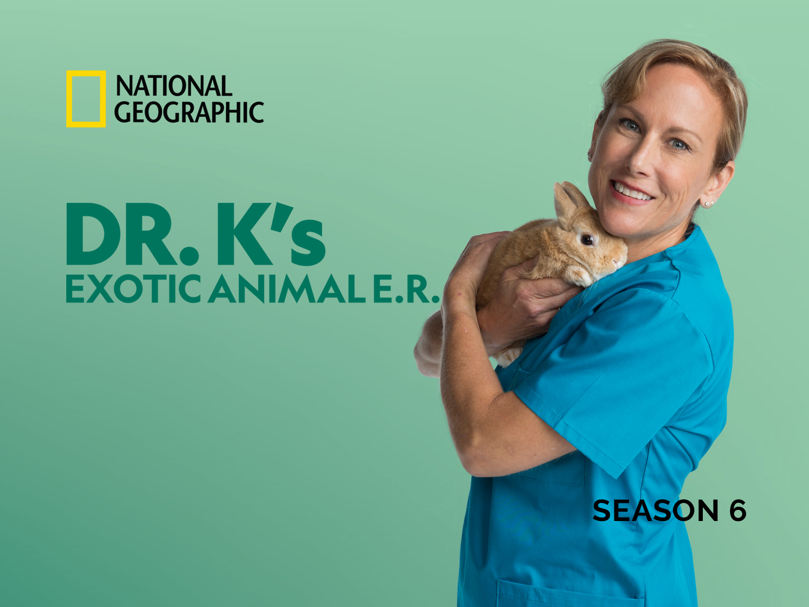 Prime Video: Dr. K's Exotic Animal ER - Season 6