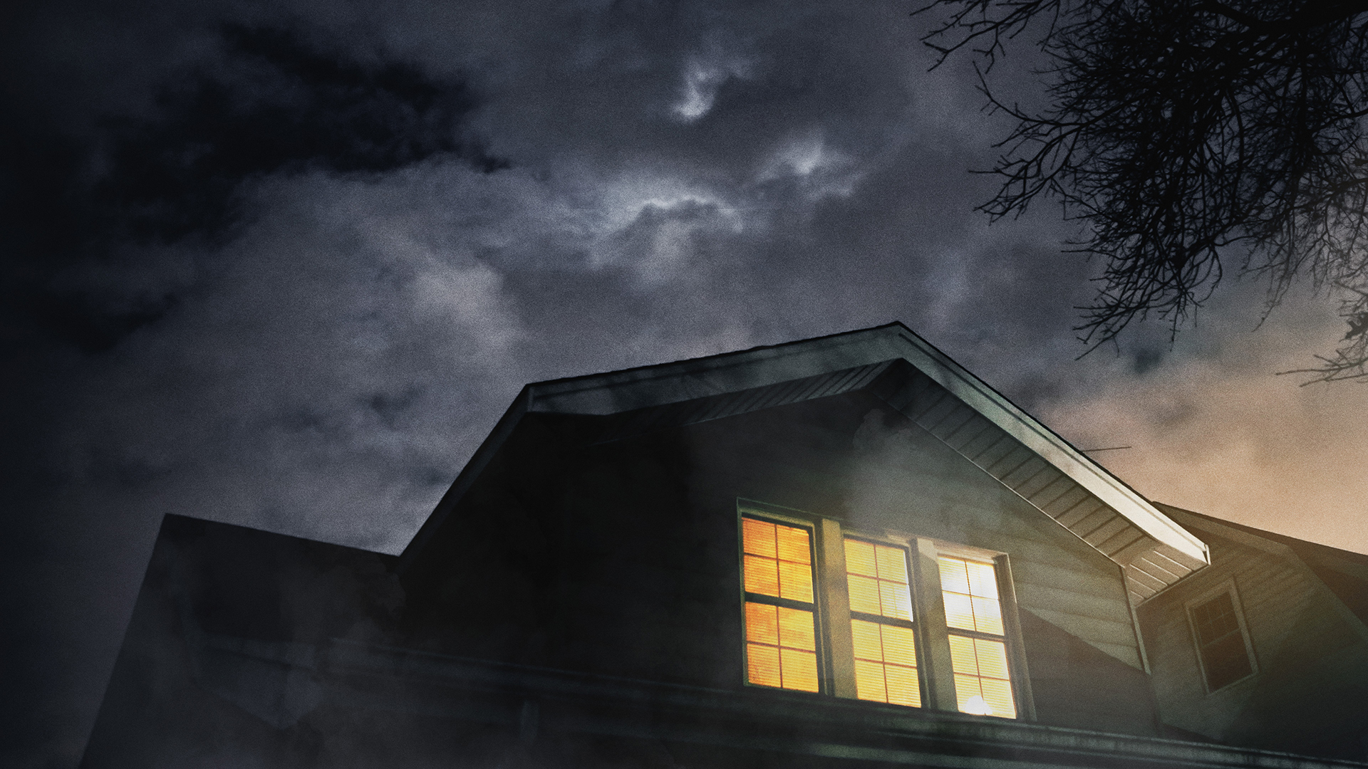 Kelly Pletcher's Instagram, Twitter & Facebook on IDCrawl