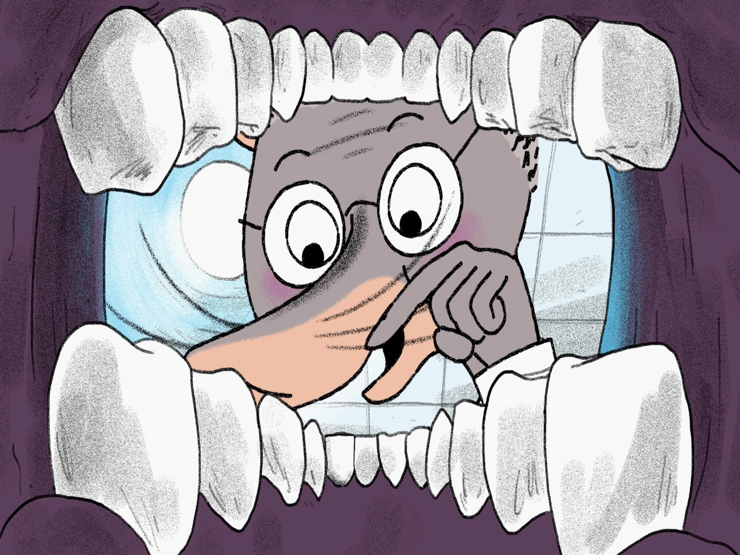 Prime Video: Ariol - Saison 2