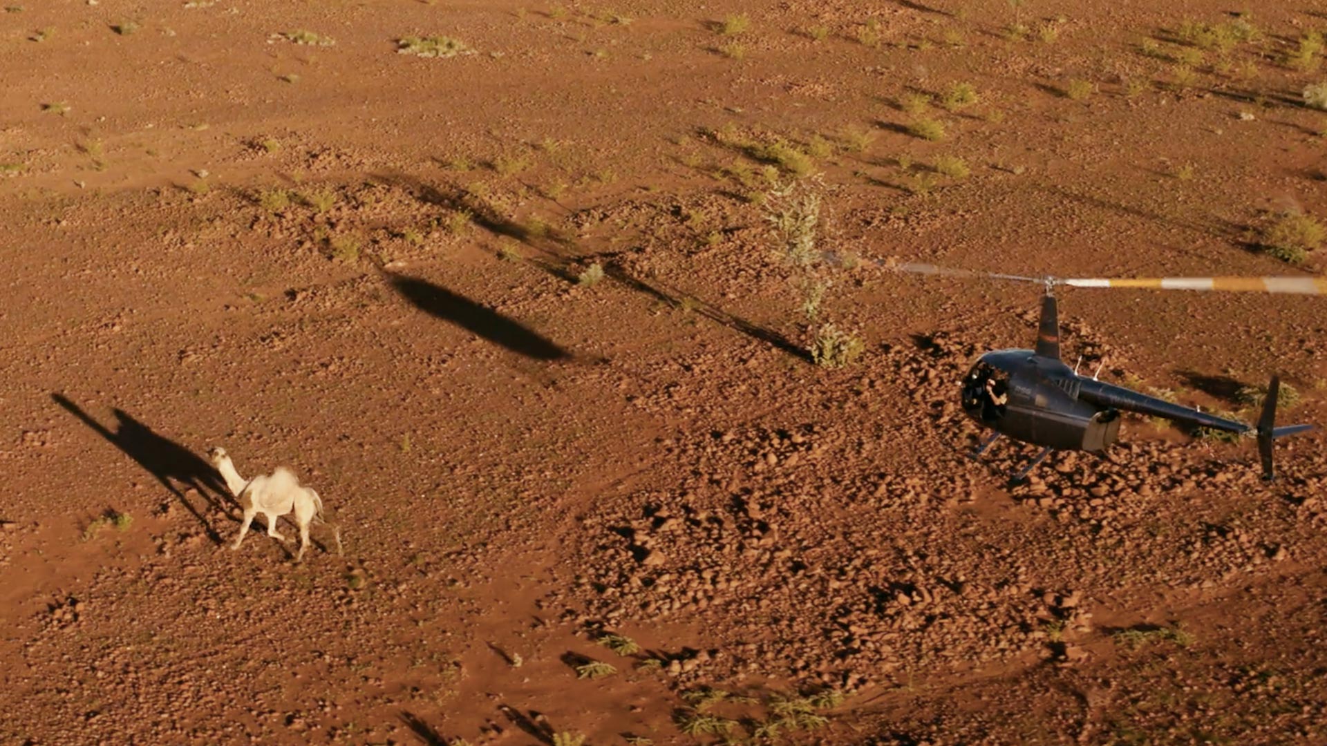 Prime Video: Outback Vet - Season 1