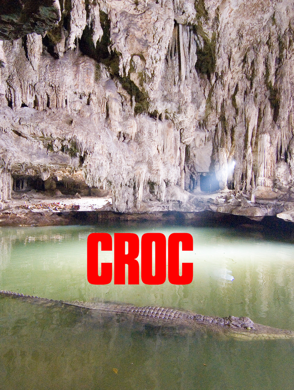 Prime Video: Croc