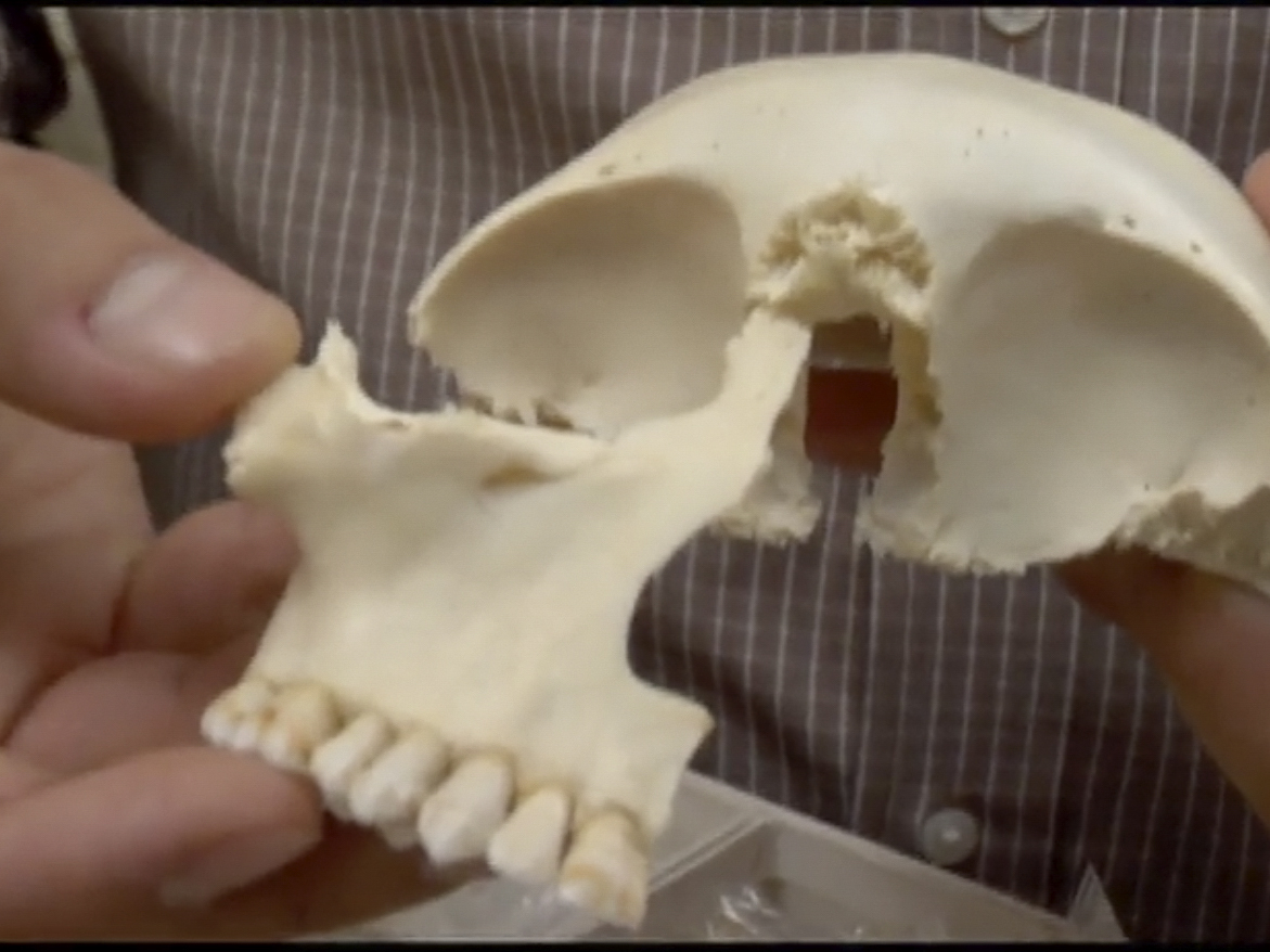 Prime Video: Oddities - Season 1