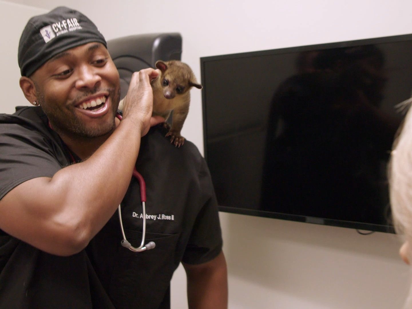 Prime Video: The Vet Life - Season 4