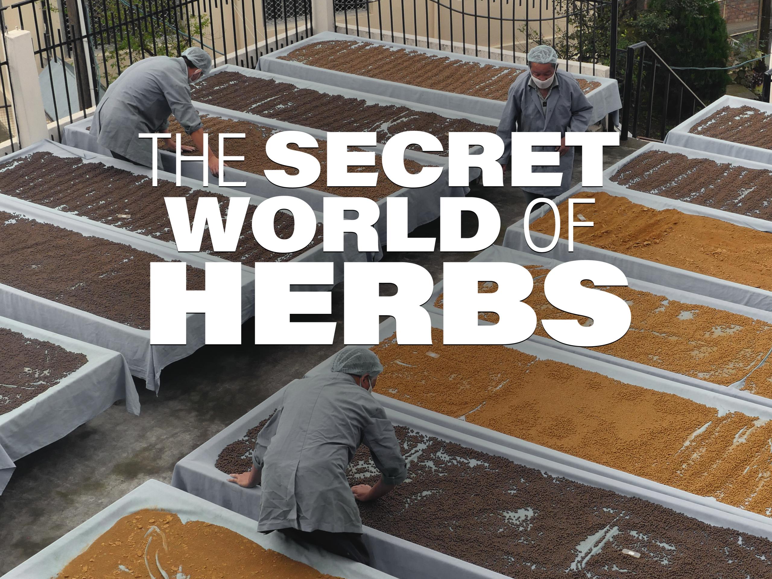 Prime Video: The Secret World of Herbs