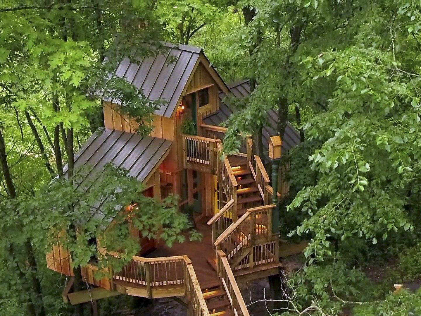 Prime Video: Treehouse Masters - Season 10