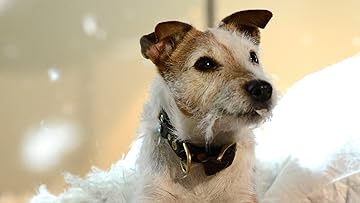 Watch A Dog's Life | Prime Video