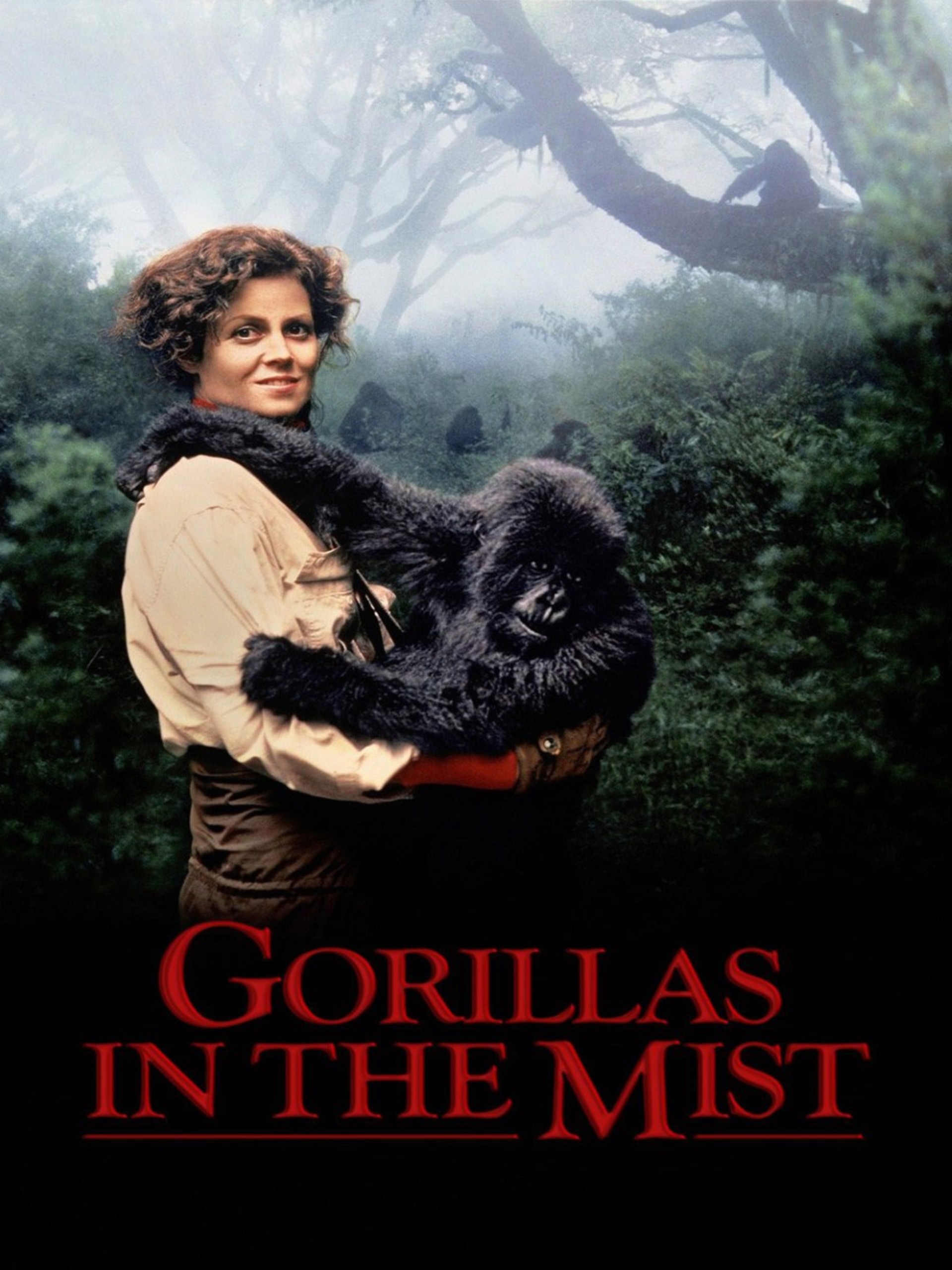 Prime Video: Gorillas In The Mist