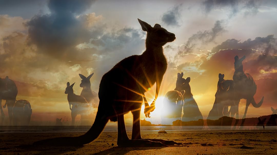 Prime Video: Wild Australia - Season 1