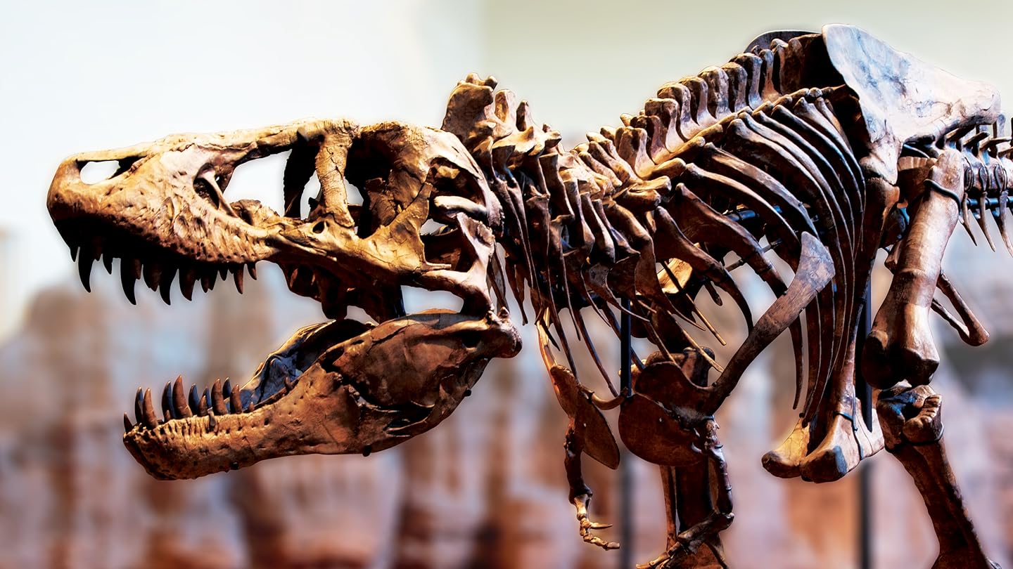 Prime Video: Introduction to Paleontology