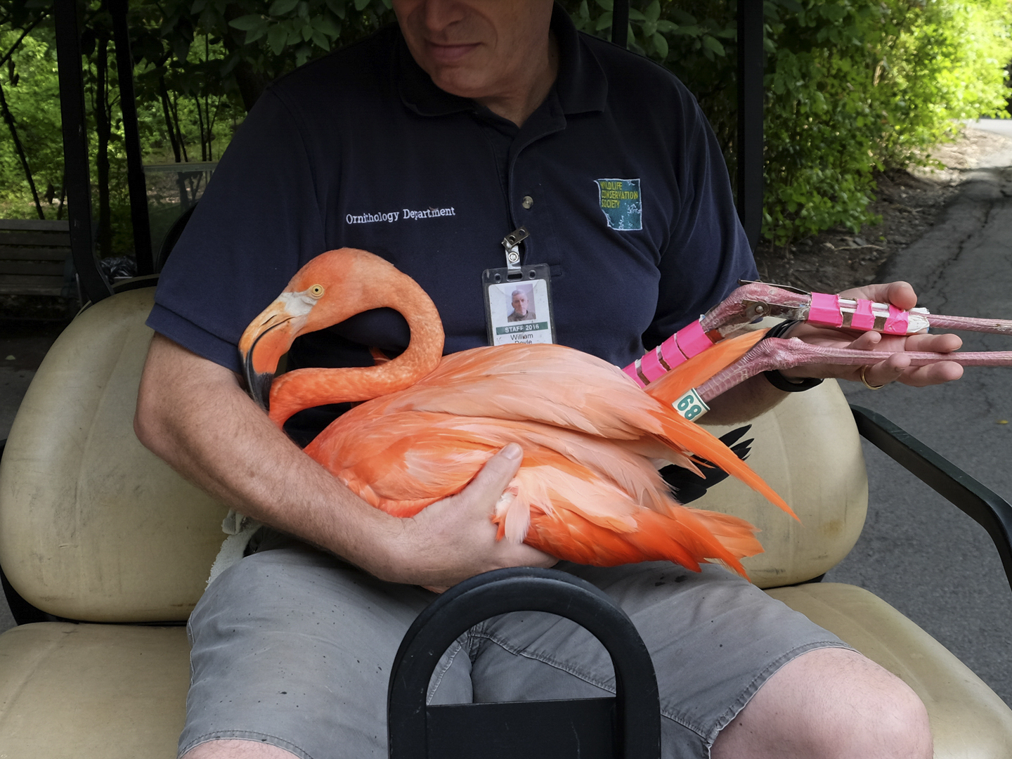 Prime Video: The Zoo - Season 1