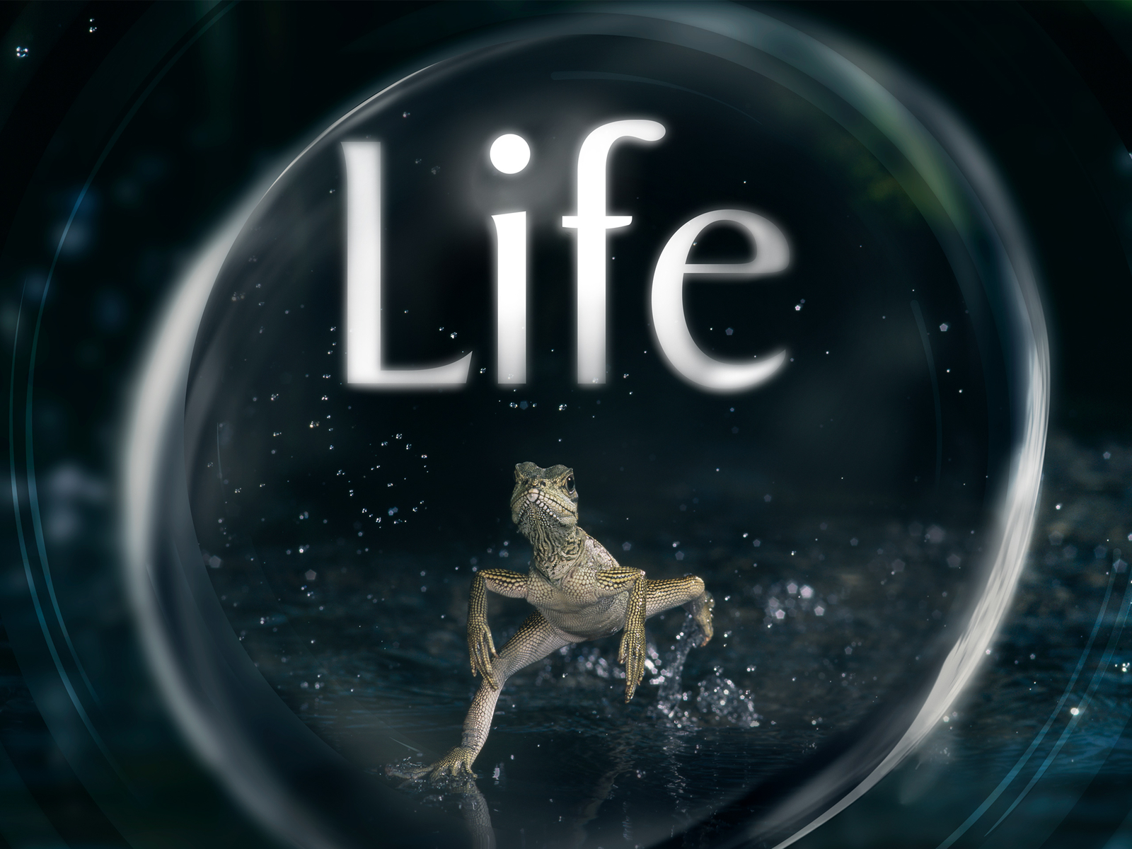 Prime Video: Life - Season 1