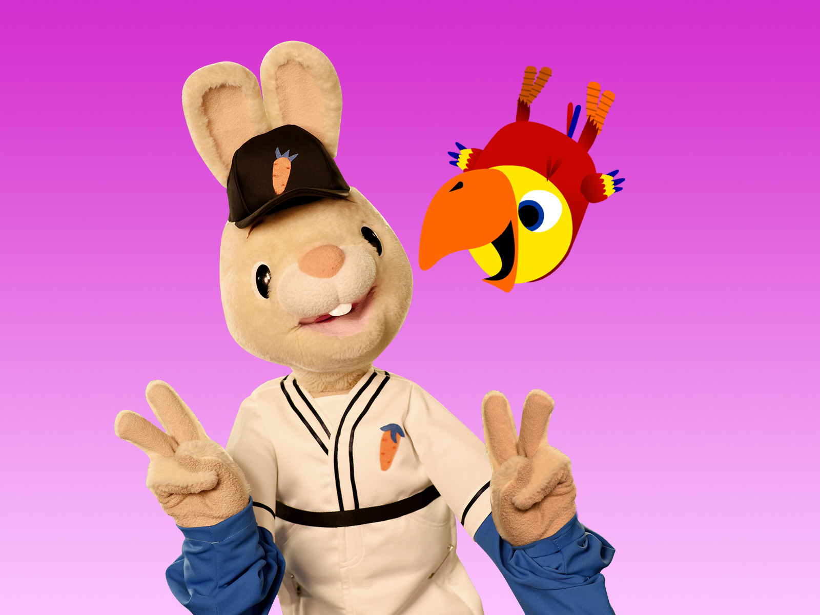 Prime Video: Vocabulary and Numbers with Harry the Bunny and Friends ...