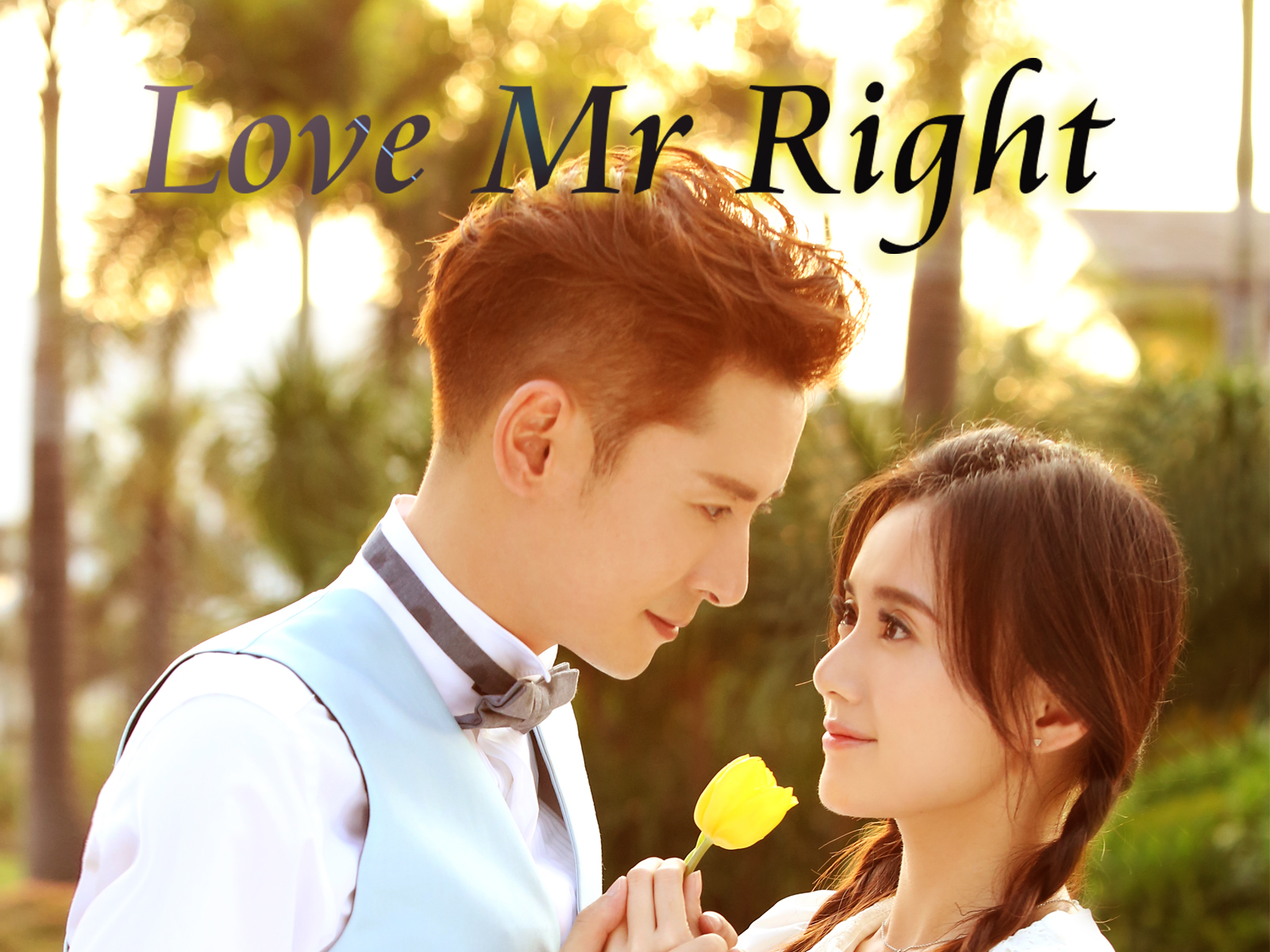 Prime Video: Love Mr Right