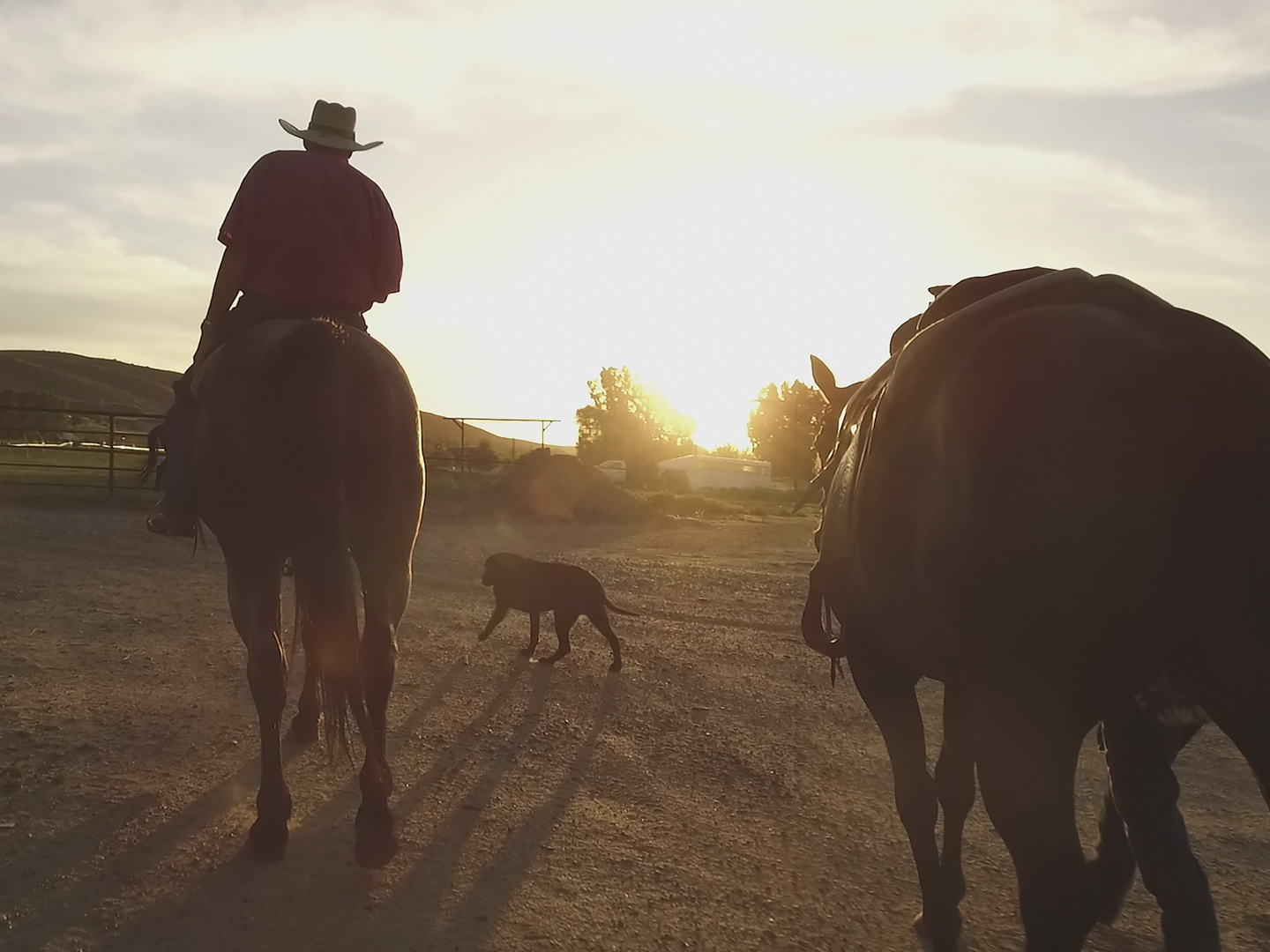 Prime Video: Murder in the Heartland - Season 4
