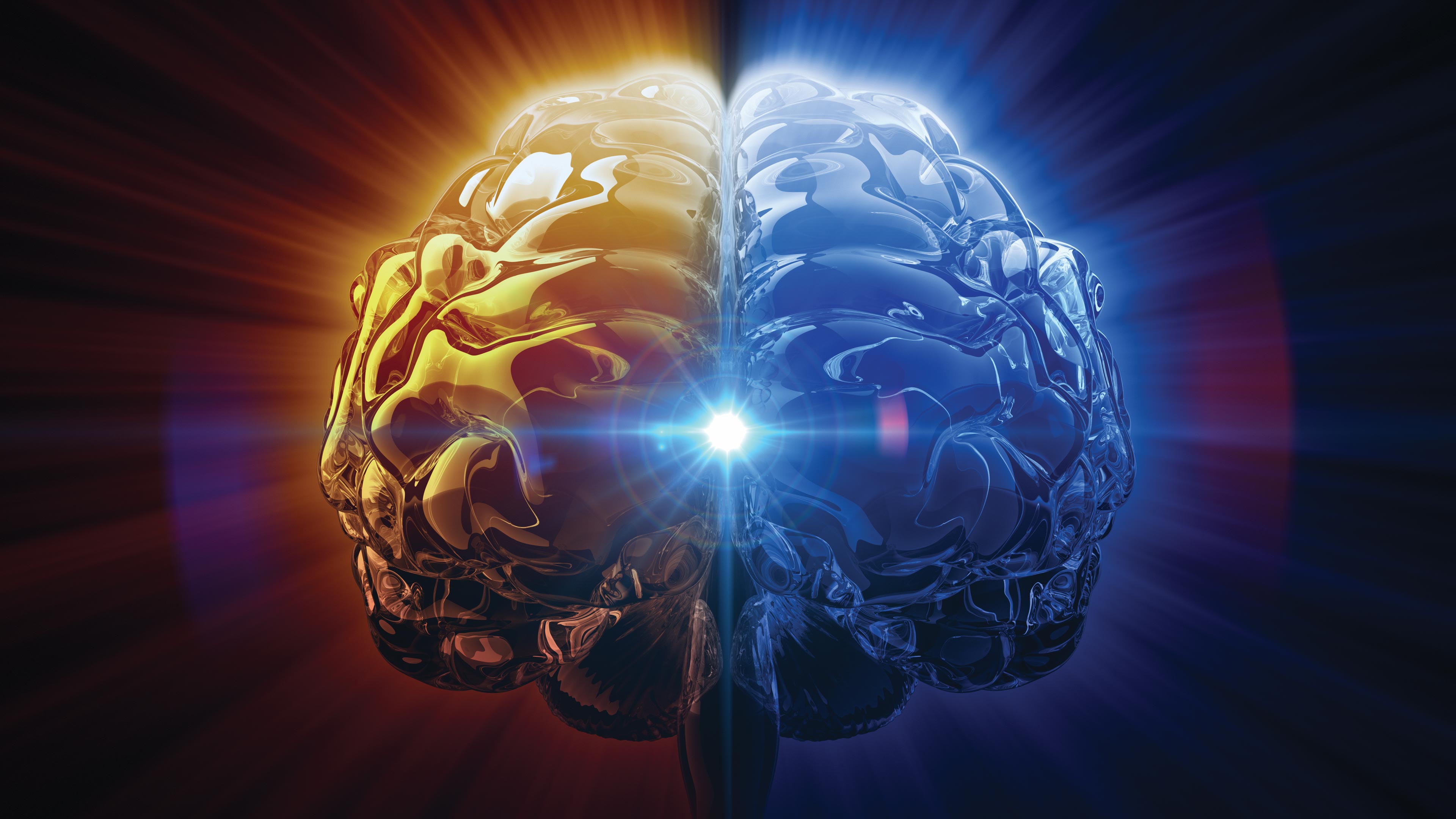 Prime Video: Brain Myths Exploded: Lessons from Neuroscience