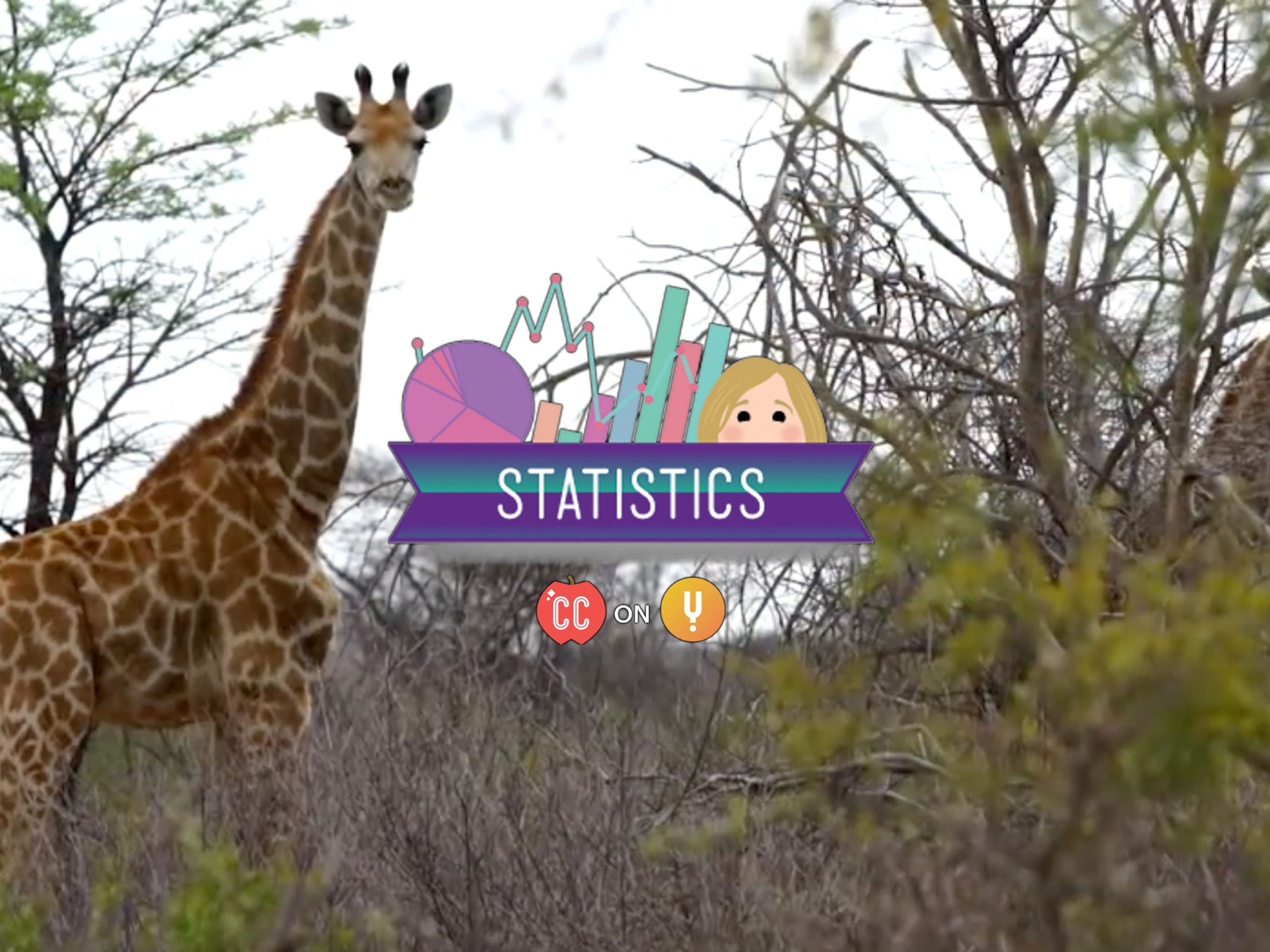 Prime Video: Crash Course: Statistics - Season 1